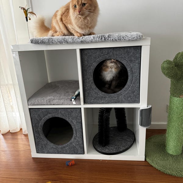 Handmade Wall Mounted Curved Cat Perch by Cosyanddozy Modern Cat Wall ...