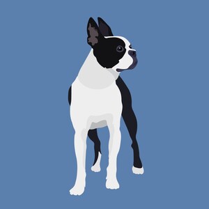 Dog Alphabet Poster // PRINTABLE // Dog Wall Art // Instant | Etsy