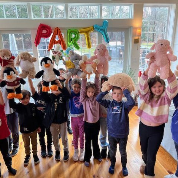 Build-an-animal Party Kit, 15 Unstuffed Animals, Build Stuffy Kit, No ...