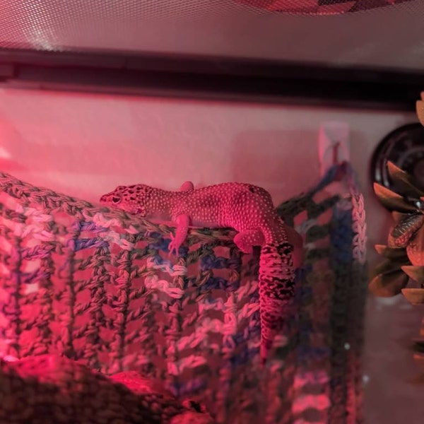 Crocheted Climbing Wall - Etsy