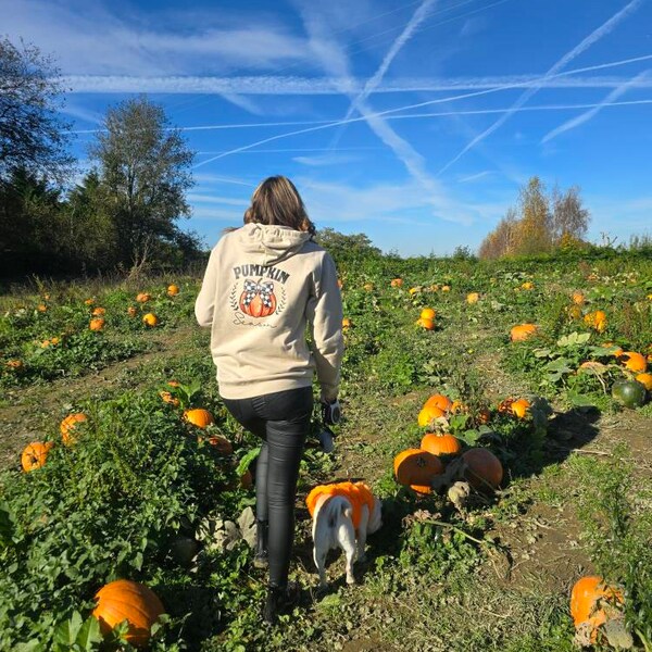 Couples Shirts, Valentines Day T-shirt, Honeymoon Tshirt, Hid and Hers ...