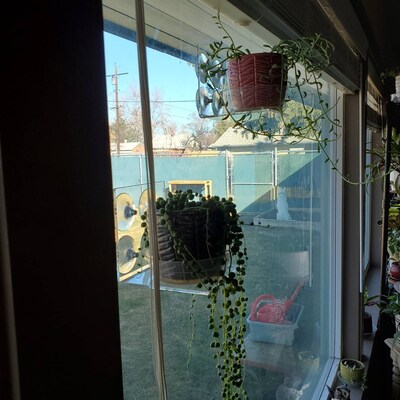 Window Shelves Clear Various Sizes Clear Window Shelf Custom Window ...