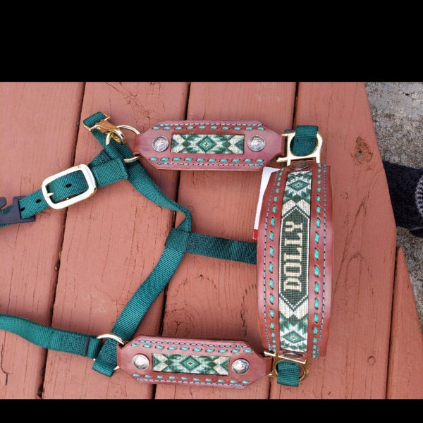 Custom Horse Halter - Etsy