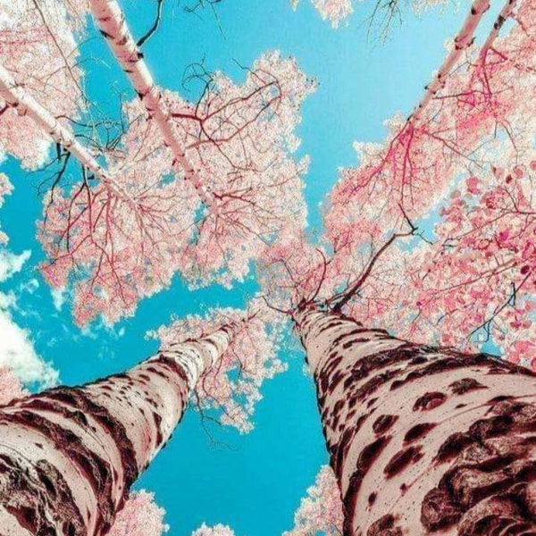 DIY Shut up Stop Gossip Spell - Instructions From My Grimoire - for ...