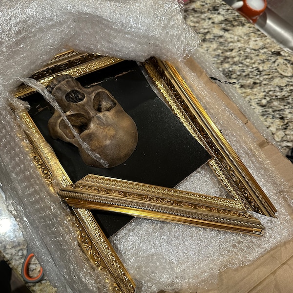 Filigree Frame Skull Gallery Wall Art, Gold Framed Skull, 3D Realistic ...