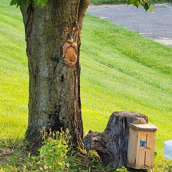 Tree Faces Garden Decor tree Hugger Bird Feeder Yard Art Gift for Dad ...