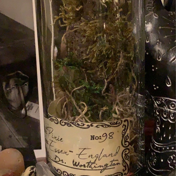 Vintage Vampire Hunting Kit Shadow Box Large Brown - Etsy