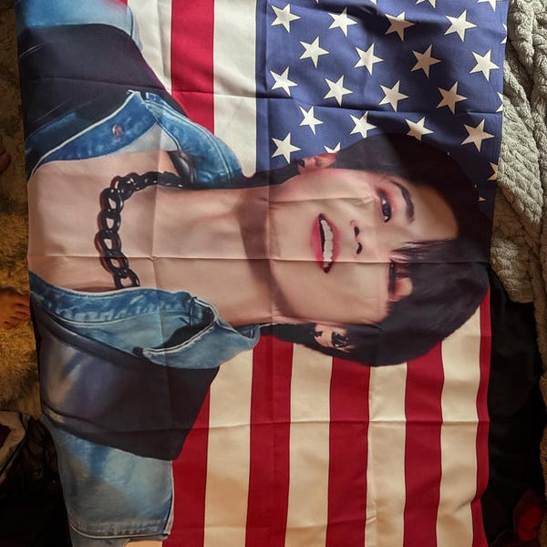 Sabrina Carpenter Pink American Flag Tapestry - Etsy