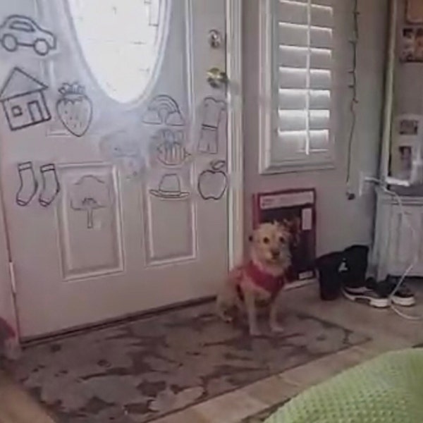 Months of the Year - 12 Printable Coloring Sheet for Teachers ...