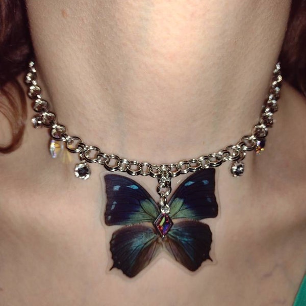 Blue Leafwing Butterfly, Anaea Xenocles, Spread for Your Project or ...