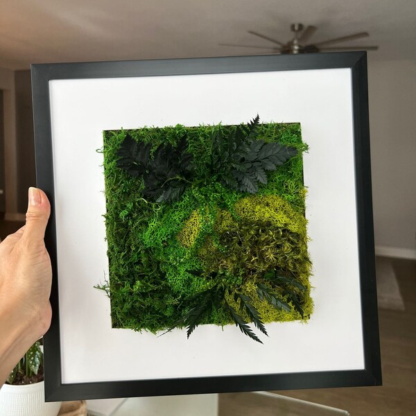 Moss Wall Art, Living Wall, Preserved Moss, Hanging Vertical Garden ...