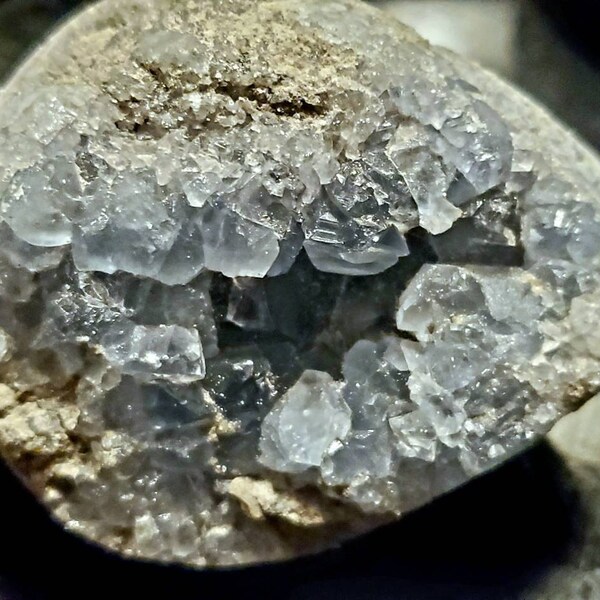 Natural Opalized Ammonite Specimen, Fossil Quartz Crystal, Mineral ...