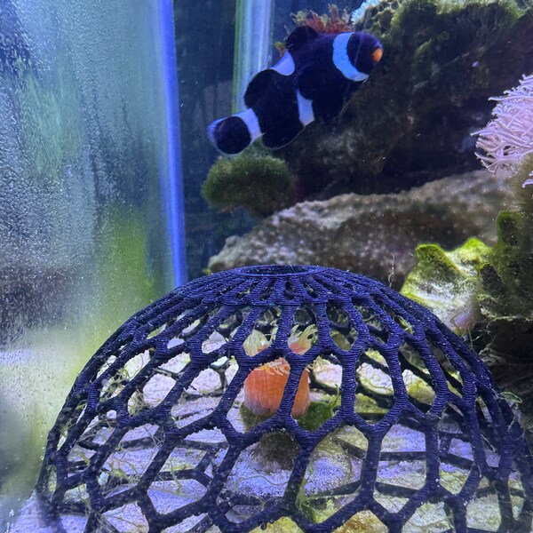 Fishing Rod Transporter, Carrier, Rod Rack, Rod Carrier, New Design - Etsy