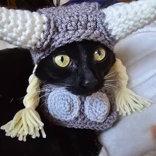 Brunhilde, Vikings, Valkyries, Wagner Opera, Hats for Cats, Pet Hats ...