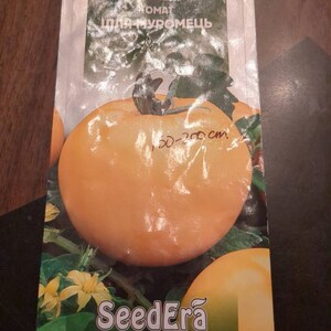 Celosia Flower Seeds Bullfighter Flower Seeds - Etsy