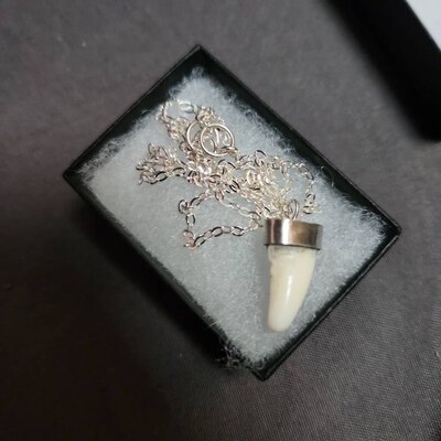 Custom Puppy/ Kitten Tooth Necklace // Pet Memorial Necklace // Dog ...