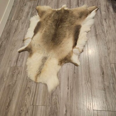 Goat Skin Exclusive 98 X 80 Cm Genuine Hide Rug Goatskin Pelt Leather ...