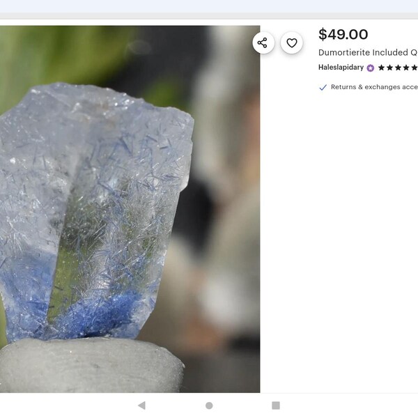 Dinosaur Fossil Tooth Pendant Mosasaurus Tooth Pendant Fossil Tooth ...