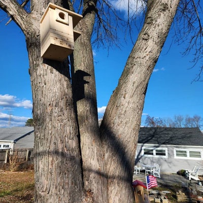 Flying Squirrel House, Northern Flying Squirrel House, Southern Flying ...