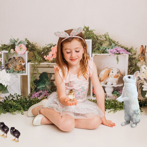 Crowns King Crown Overlay Photoshop Overlays for Photographers ...