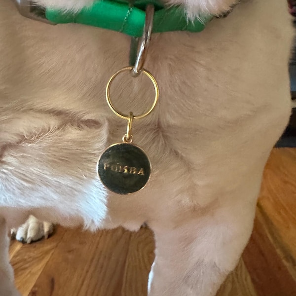 Olive Green Resin Pet ID Tag - Resin, Olive Green, Dog Tag - Etsy