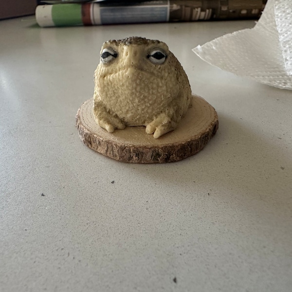 Baby Desert Rain Frog Figurine... Angry Squeaker Frog - Etsy