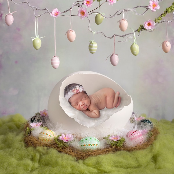 PSD & JPG Teddys Digital Background, Newborn Digital Backdrop - Etsy
