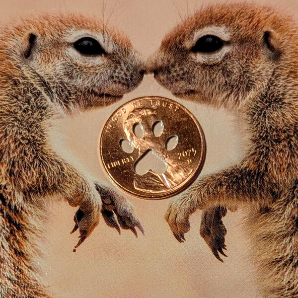 FOR CHARITY Lucky Penny Cut Out FISH Penny Charm Memorial Keepsake Fish ...