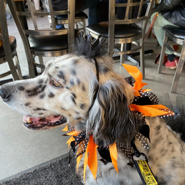 10 Poppy Pins Men's Poppy Pin Poppy Brooch Poppy Lapel Pin Boyfriend ...