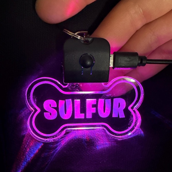 Human Pup Necklace - Light up Dog Tag - Color Changing - Stocking ...