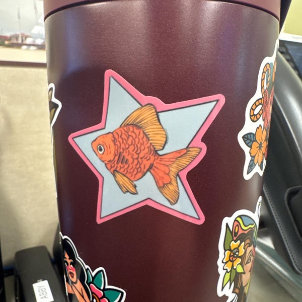 Goldfish Star Sticker | Glossy and Waterproof - Etsy