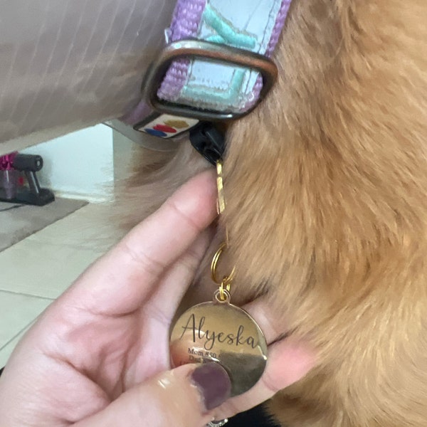 Personalized Baby Pink Dog Tag, Kindness is Golden Pet Tag, Pink Pet ...