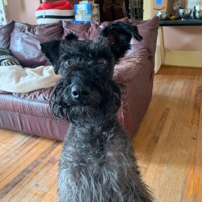 0.0 Marathon Decal FREE SHIPPING - Etsy