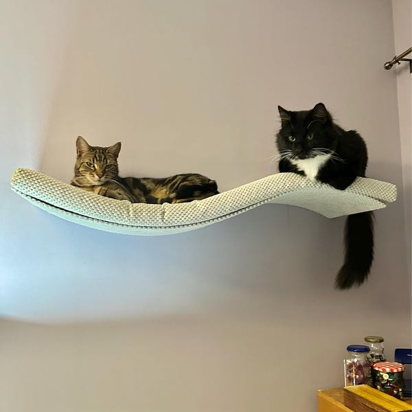 Cat Shelf Wall Mounted Floating Perch Bed With Pillow, Removable and ...