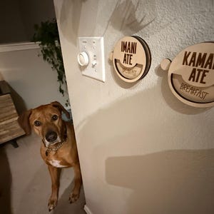 Personalized Dog Feeding Tracker Sign - Dog Feeding Reminder Magnet ...