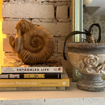 Ammonite Woman, Ancient Spirit Sculpture, by Debra Bernier, Shaping ...