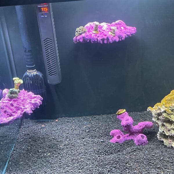 Synthetic Ocean Aquaria 7-hole Torch Tower – Fragrocks Premium Coral ...
