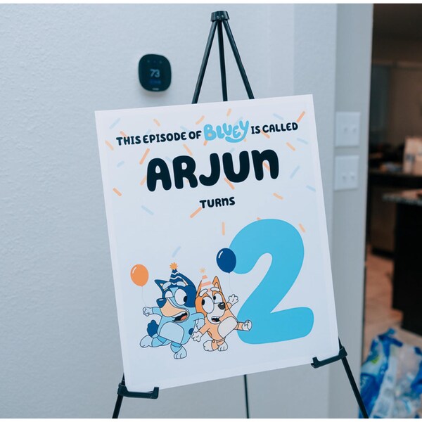 Pink Bluey Birthday Sign Birthday Welcome Sign Personalized Sign Bluey ...