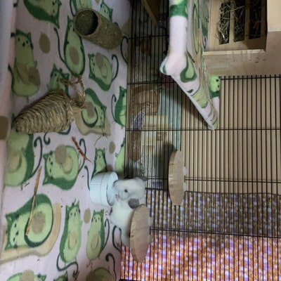 Chinchilla Ledge / Steps / Ramp Mounting Hardware - Etsy