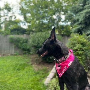 Puppy Dog Bandana US Marine Corps USMC Personalized Tie - Etsy