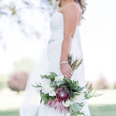 ASSORTED FRESH PROTEA Flower - Etsy