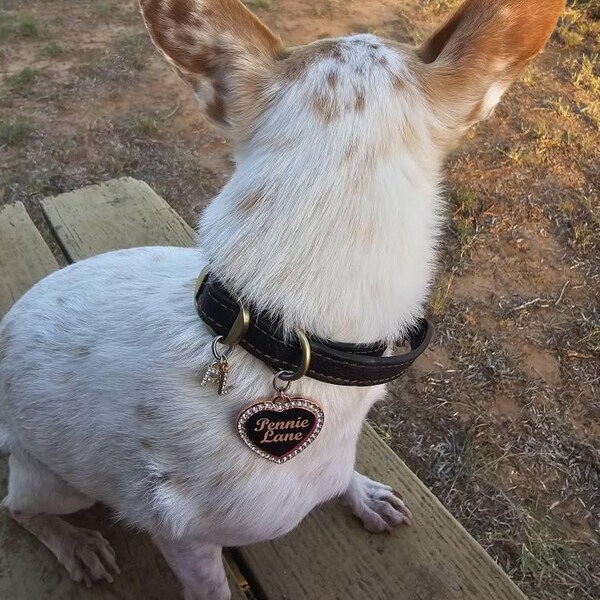 John Rambo Stainless Steel Military Dog Tag Set Movie Prop Halloween ...