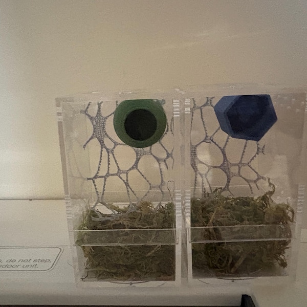 Jumping Spider Magnetic Hide Decor Set W/ Hanging Wicking Water Feeder ...
