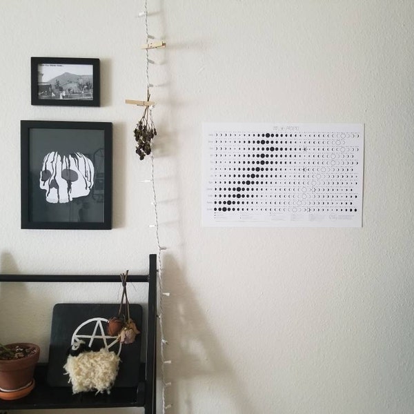 Learn Bone Throwing, A Beginner's Guide to Bone Throwing Book, How to ...