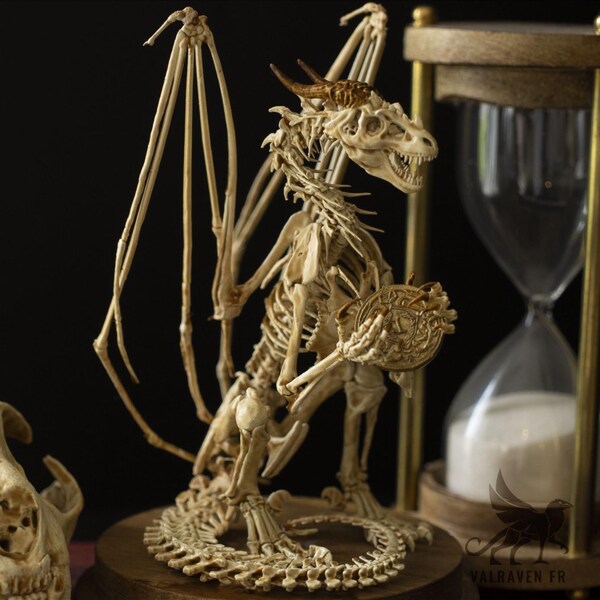 Bat Winged Demon Skeleton, Curiosity Cabinet - Etsy