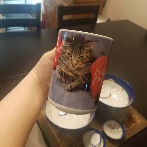 Photograph of Nano, the Tiniest Kitten (for Download) - Etsy