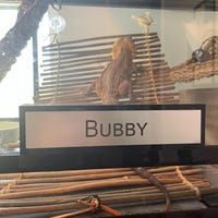 Free GUY Name Tag Non Playable Character Movie Cosplay Name Badge ...