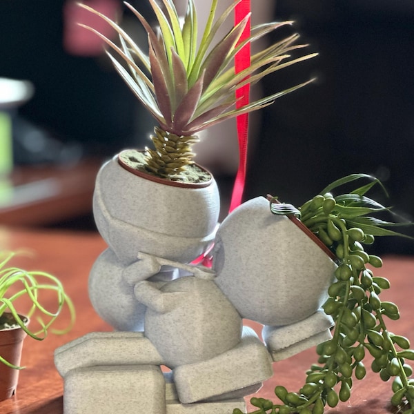 Wee Jimmy Dino Rider Dinosaur Brachiosaurus Diplodocus Succulent Plant ...