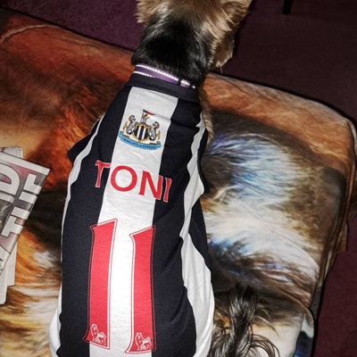 Barcelona Personalised Pet Tank Top FC 23/24 With Original FC Logo dog ...