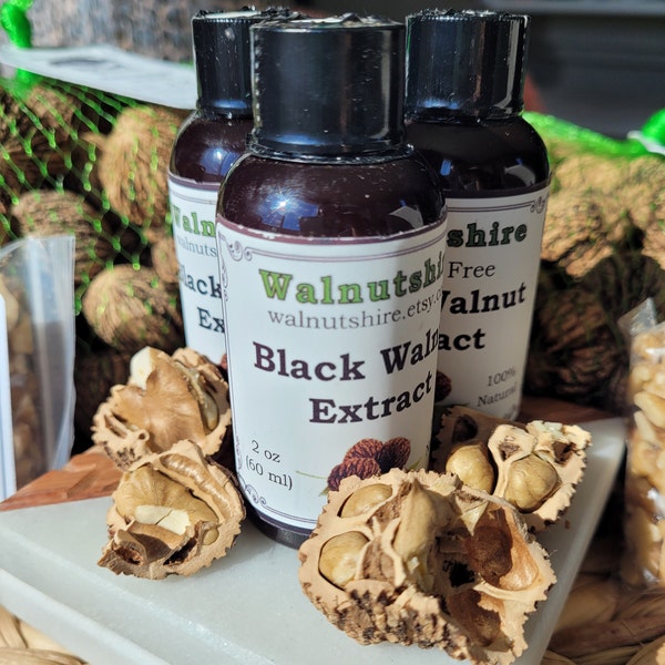 Black Walnut Shell Halves Perfect for Crafts or Jewelry - Etsy